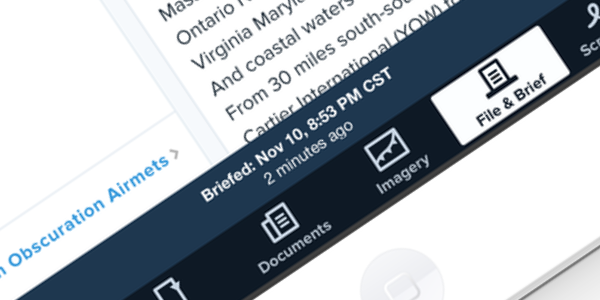 ForeFlight - Briefing